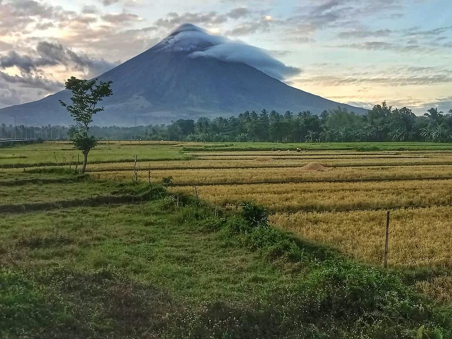 Rice Fields under Mayan Photograph by William E Rogers - Fine Art America