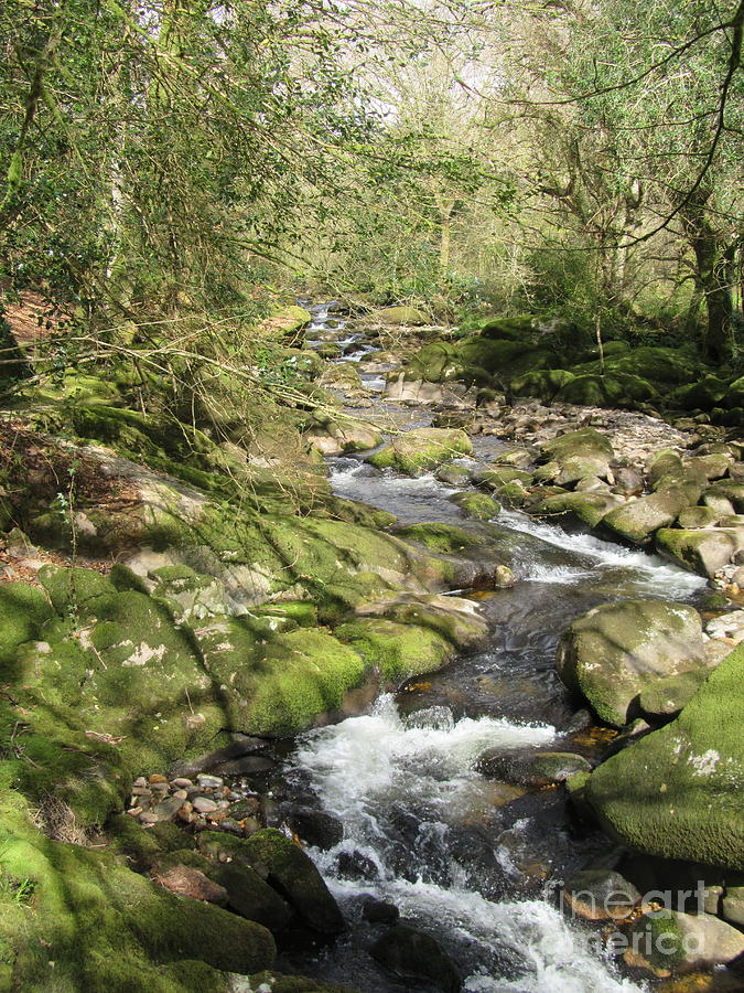 River Avon Above South Brent.....Devon, England Photograph by Lesley ...