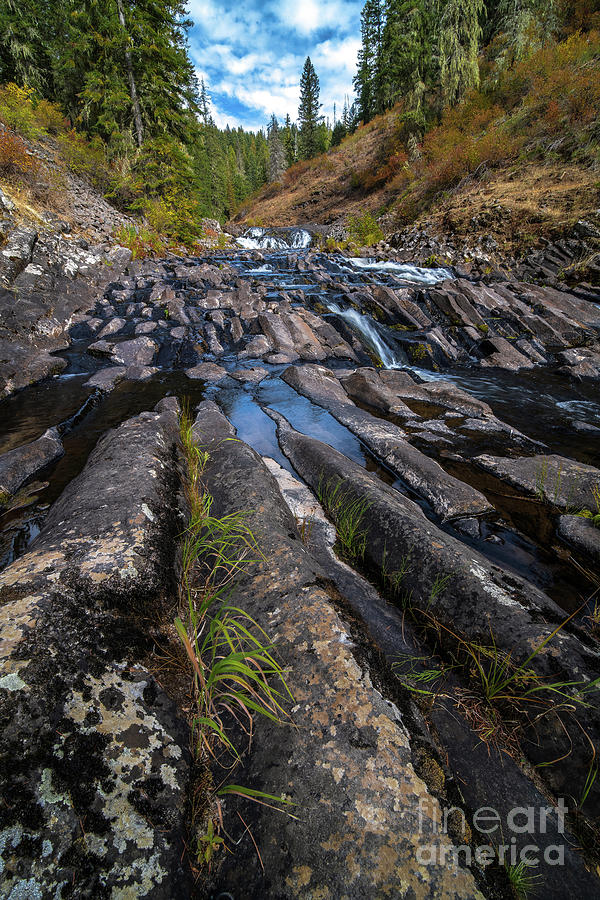 Riverbed Photograph by Hanjo Hellmann