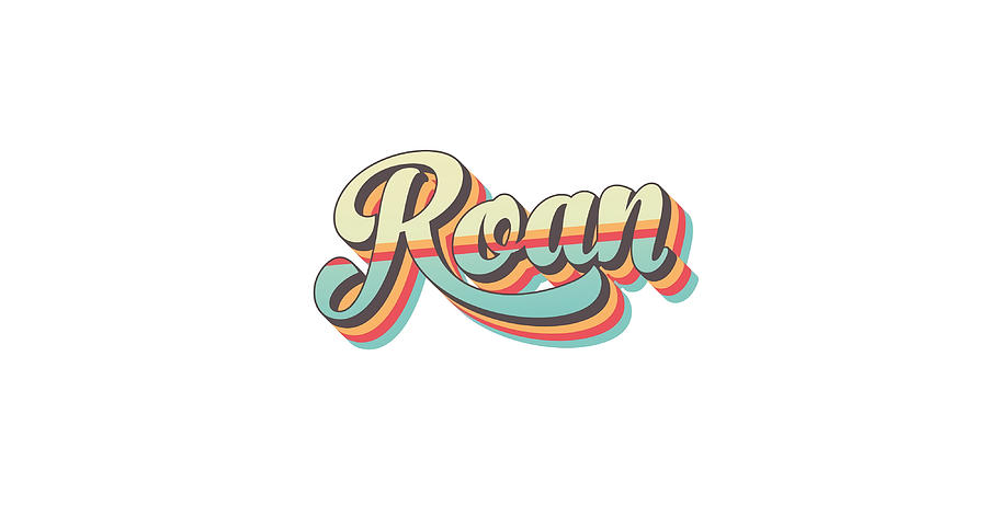 Roan name cool 70s retro font surf style design Painting by Hunt Logan ...