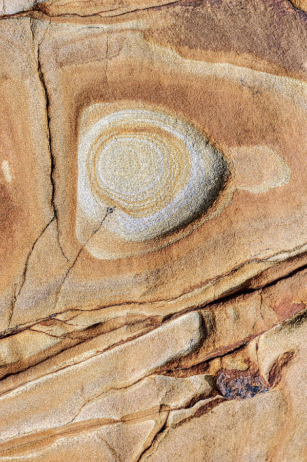 Rock patterns Photograph by Stephen Ring - Pixels