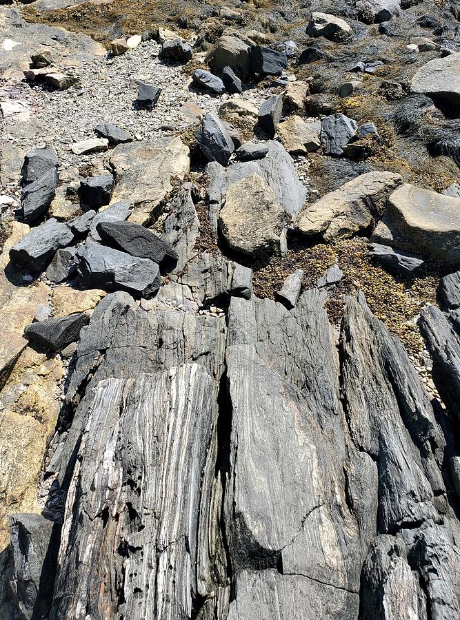 Rock Solid Photograph by Rick Bulman - Fine Art America