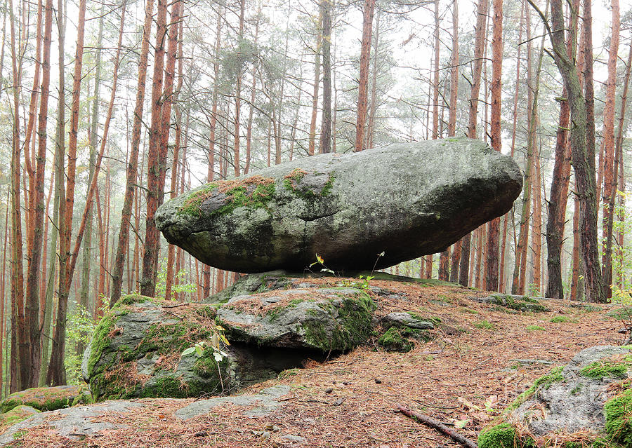 Rocking stone in the forest Photograph by Michal Boubin - Fine Art America