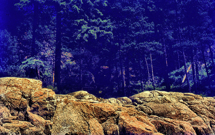 Rocks And Forest Two Photograph by Lyle Crump - Fine Art America