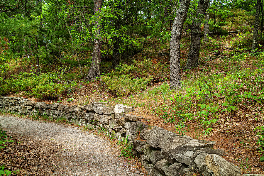 Rocky Path Photograph by Jeffrey Holbrook - Fine Art America