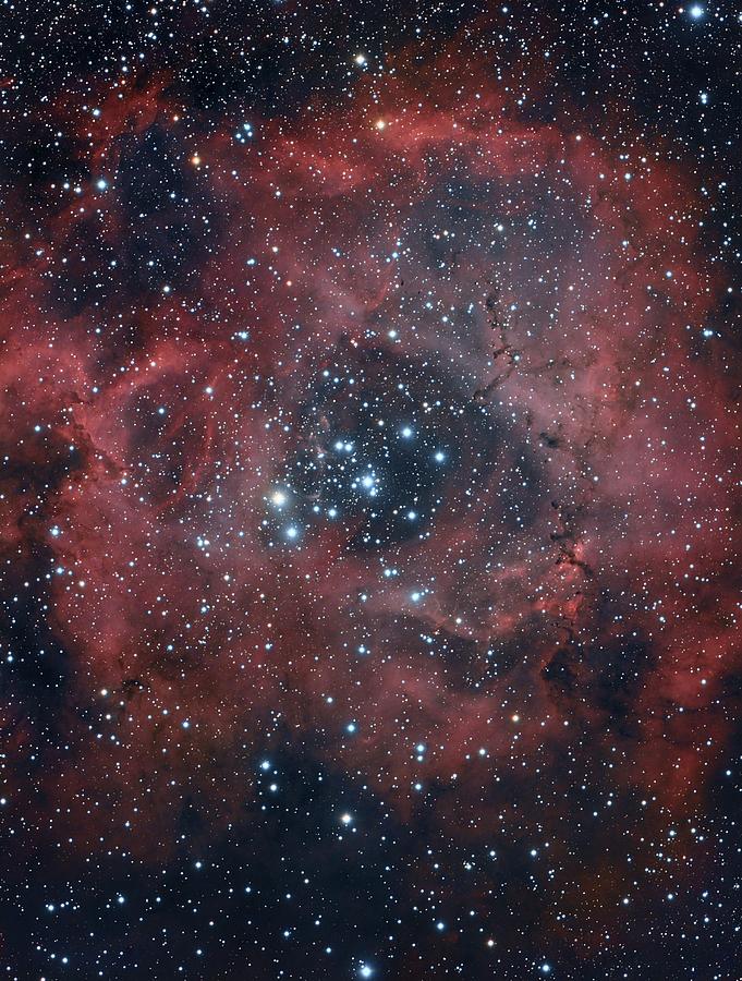 Rosette Nebula Photograph by James Astrophotography - Fine Art America