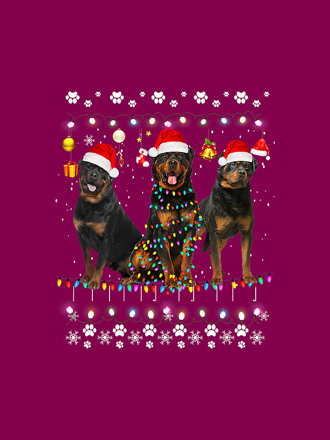 Rottweiler Rottweiler Dog Rottweilers Dogs Dog Mother Father Puppy Paw ...