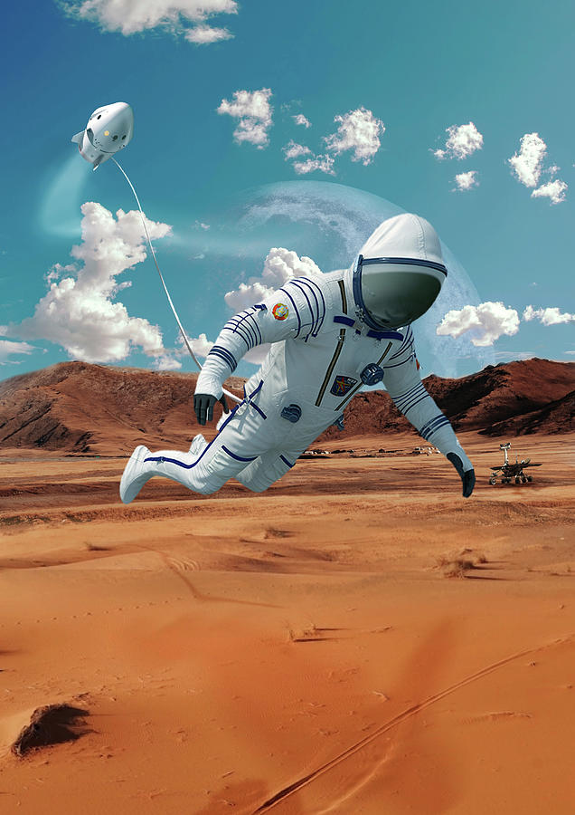 Rover Digital Art by Thomas Macchitella - Fine Art America