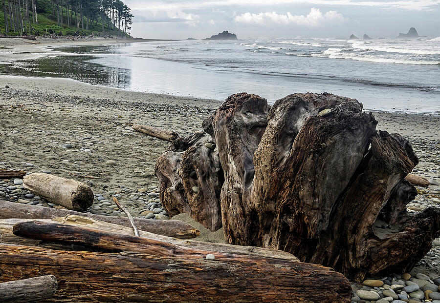 Ruby Beach 6 Photograph by Frank Barnitz - Fine Art America
