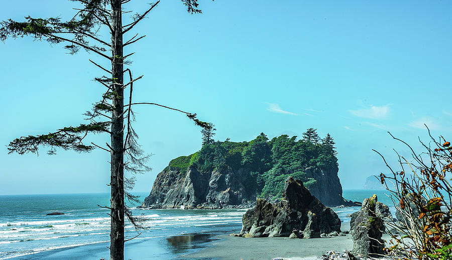 Ruby Beach Photograph by Brooke Vogelgesang - Fine Art America