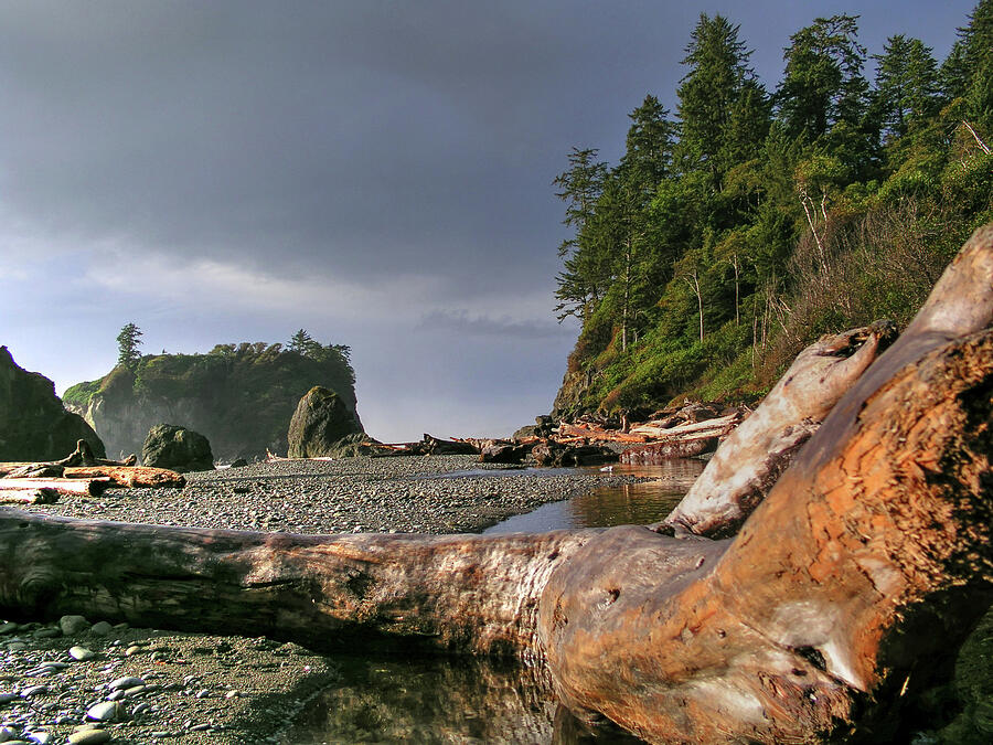 Ruby Beach Photograph by Robert Harris - Fine Art America