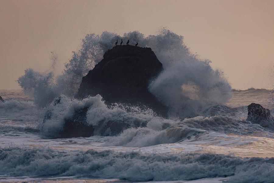 Ruby Beach Waves Photograph by Brendan Beale - Fine Art America