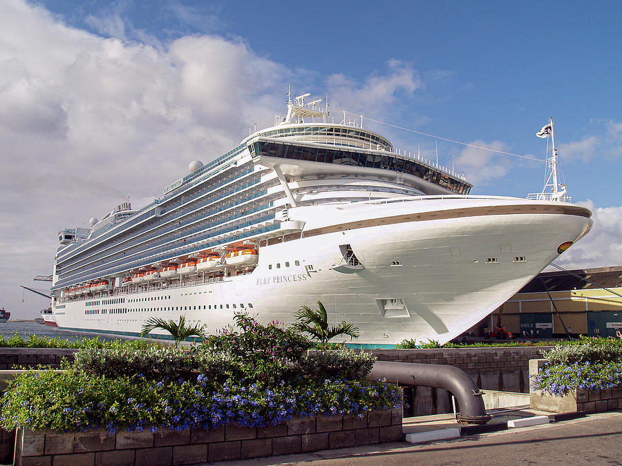Ruby Princess.... Photograph by David Choate | Fine Art America