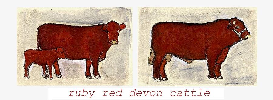 Ruby Red Devon Cattle Painting by Jacqueline Walden - Fine Art America