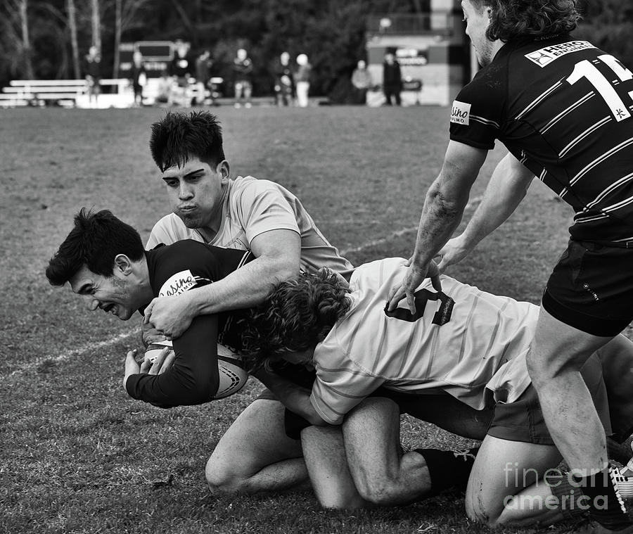 Rugby Let's Get Physical 35 Photograph by Bob Christopher - Fine Art ...