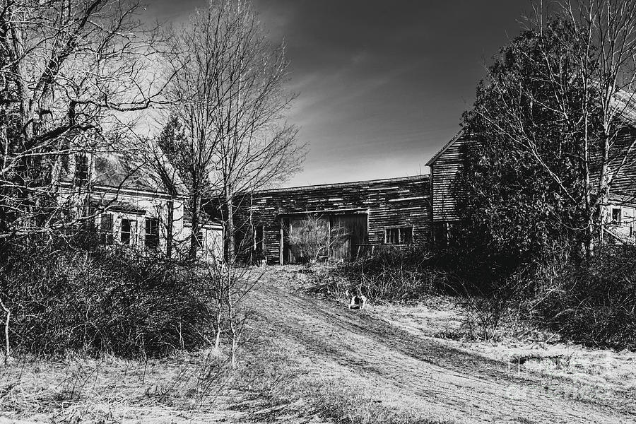 Run down Photograph by Christopher Grayson - Fine Art America