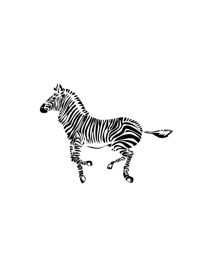 Running zebra Drawing by Michal Boubin - Fine Art America