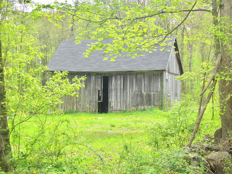 Rustic Barn In Spring Photograph by Marjorie Tietjen