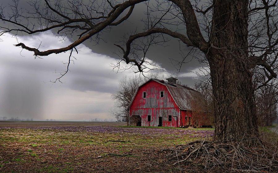 Rustic Barn in Spring Storm Photograph by Tammi Elbert - Fine Art America