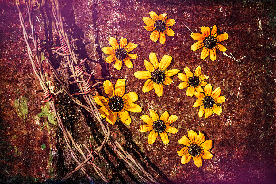 Rusty Blooms Photograph by Jim Love - Fine Art America