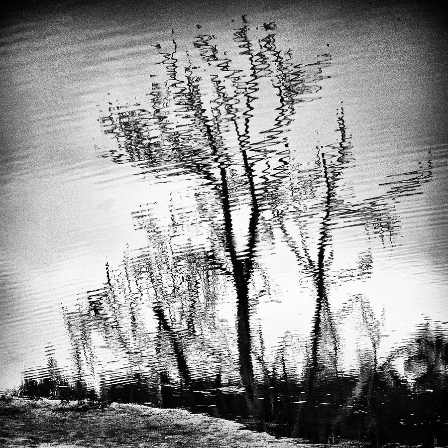 Sad Reflection Photograph by Bette Devine - Pixels