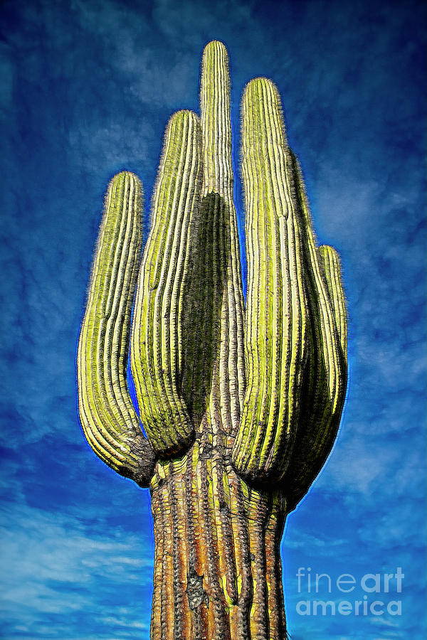 Saguaro Photograph by Randy Waln - Fine Art America