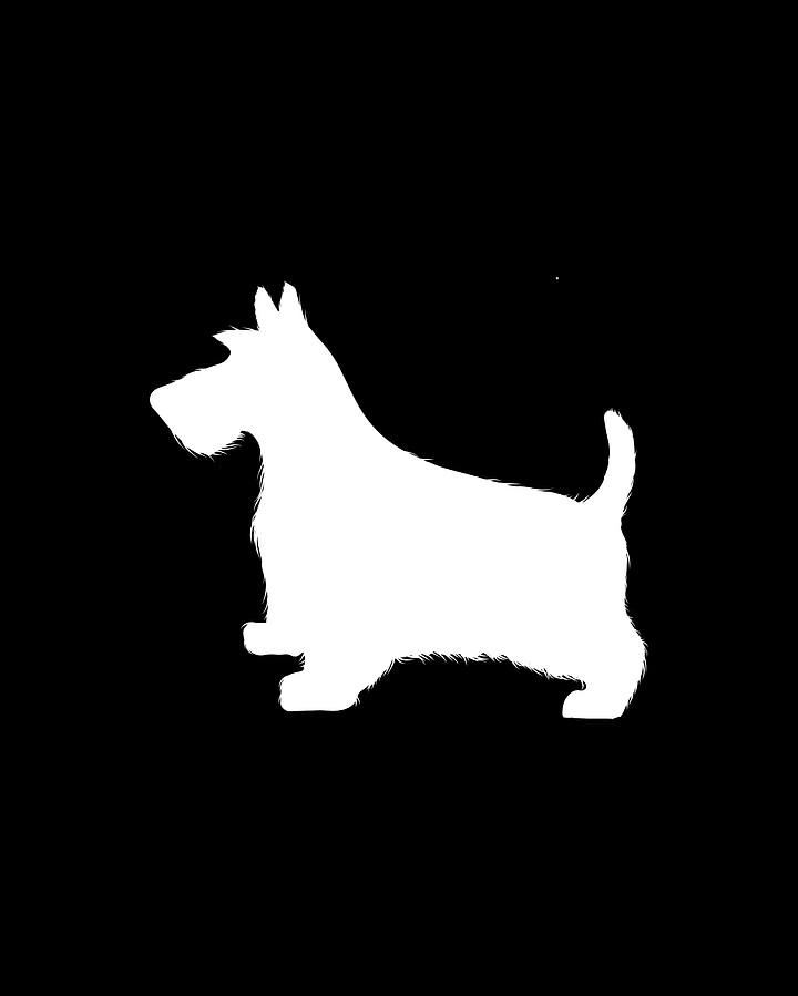 Saluki Dog Silhouette Digital Art by Kevin Garbes - Fine Art America