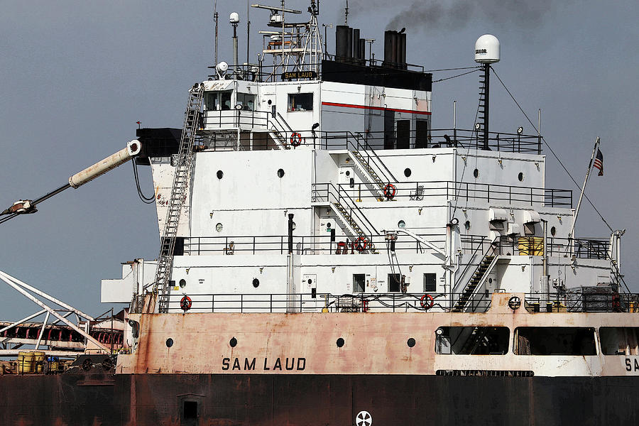 Sam Laud Closeup Poster 042221 Photograph by Mary Bedy - Fine Art America