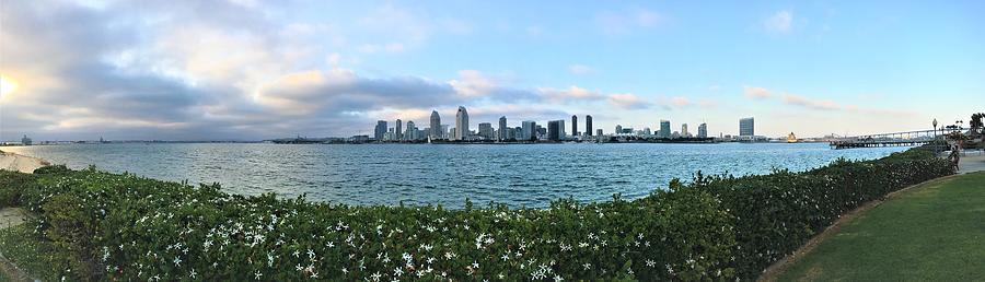 San Diego Skyline From Coronado Island Photograph by Hung Nguyen - Fine ...