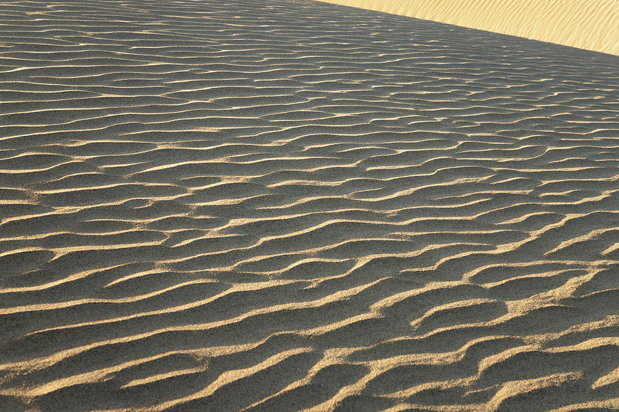 Sand Dune Patterns Photograph by Jim Allsopp - Fine Art America