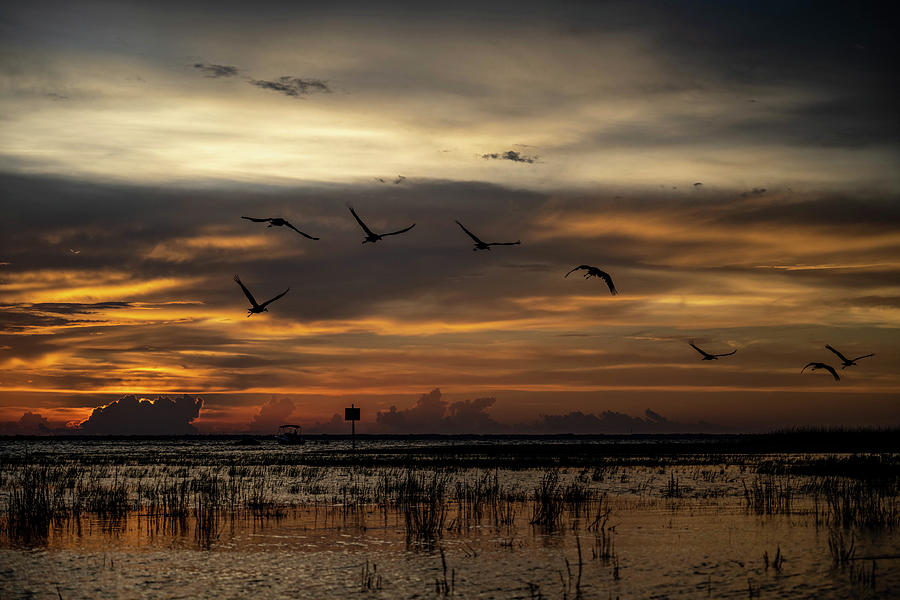 Sandhill Sunset Pyrography by Kyle Czech - Fine Art America