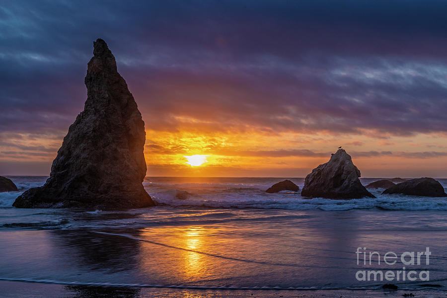 Sea Stack Silhouette Sunset Photograph by Colin D Young - Fine Art America