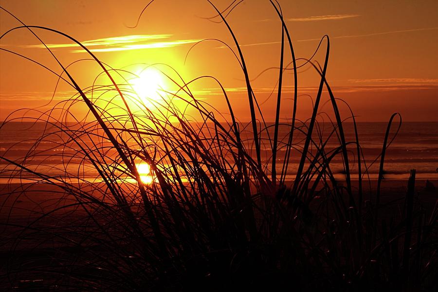 Seagrass Sunset Photograph by Vernon Platt - Fine Art America
