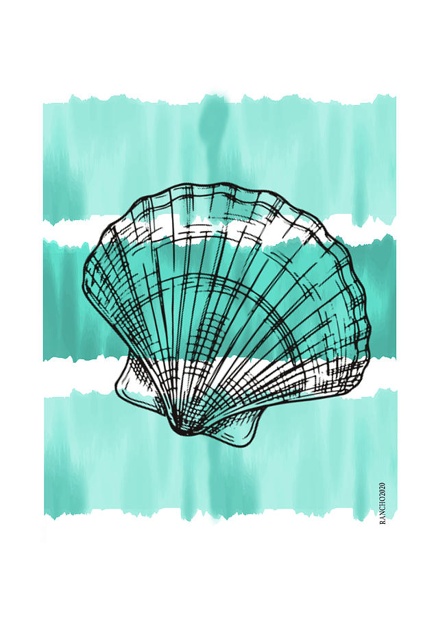 Seashell.shell Digital Art by Ran Bachar - Fine Art America