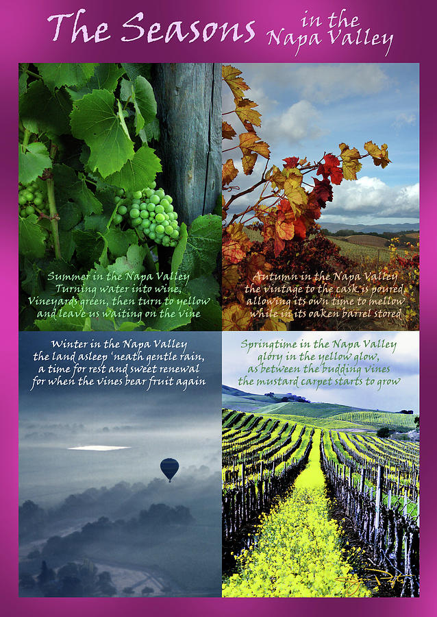 Seasons In The Napa Valley Photograph By Jim Pryts Pixels