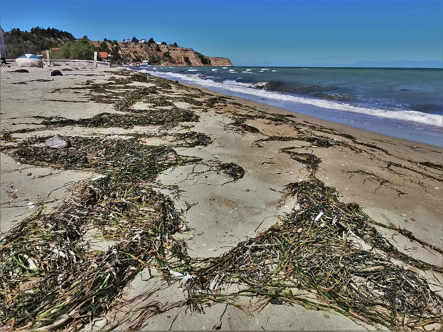 Seaweed at the beach Photograph by Maria Grigoriadou