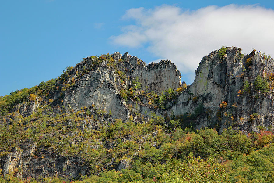 Seneca Rocks Closeup 3 Photograph by Marci Beard - Fine Art America