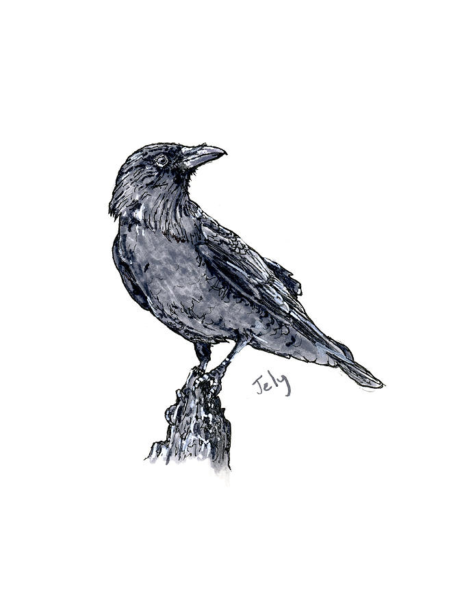 Sentry Drawing by John Ely - Fine Art America