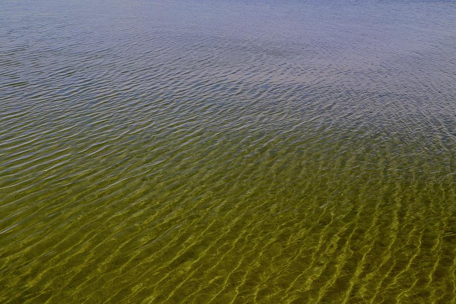 Shallow Water Photograph by Ian Baird