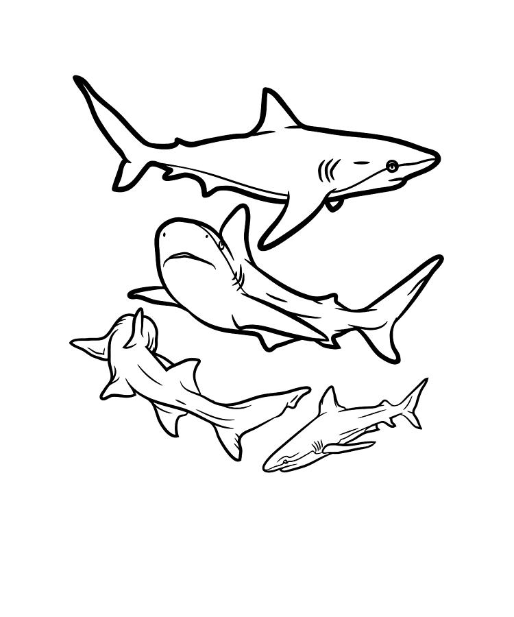 Sharks Digital Art by Francois Ringuette | Pixels