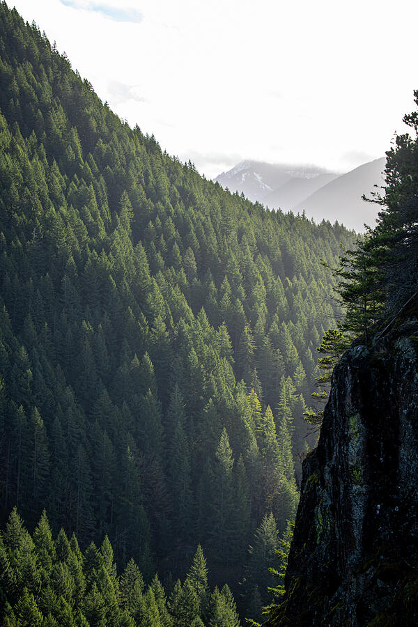 Sharp Hills Photograph by Patrick Lyon - Fine Art America