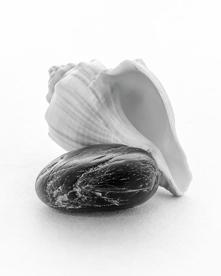 Shell and Riverstone Photograph by Nigel Hart - Pixels