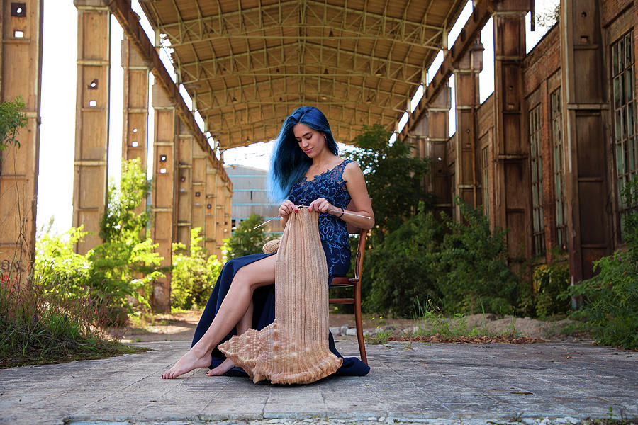 Shell Photograph by Daniel Ripka - Fine Art America