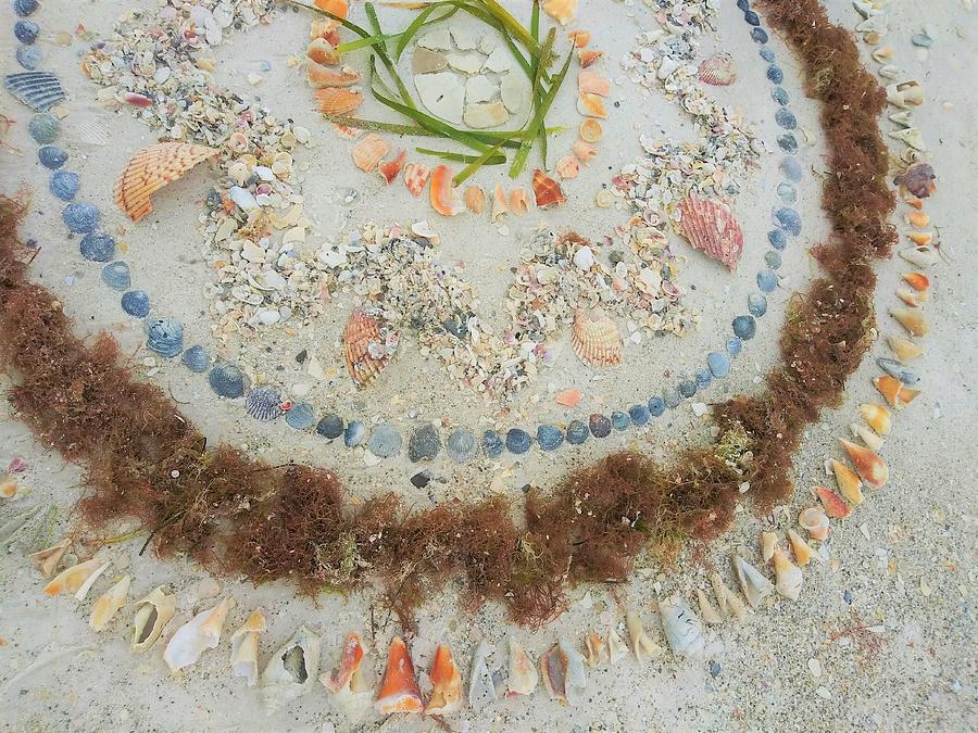 Shell Mandala Photograph by Zing Nafzinger - Fine Art America