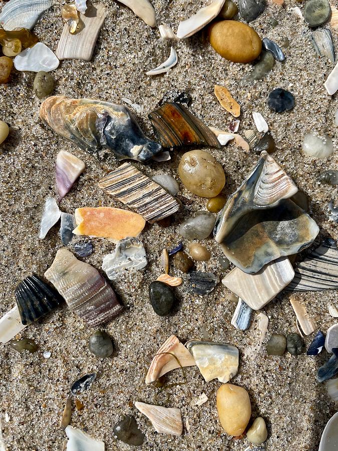 Shell Stripe Patterns Photograph by Cheryl Scanlan - Fine Art America