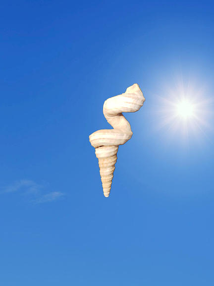 Shell Sun Photograph by Brandon Capdarest - Fine Art America