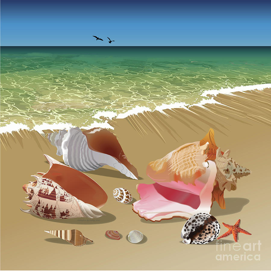 Shells on the Beach I Digital Art by Kathryn Yoder - Fine Art America
