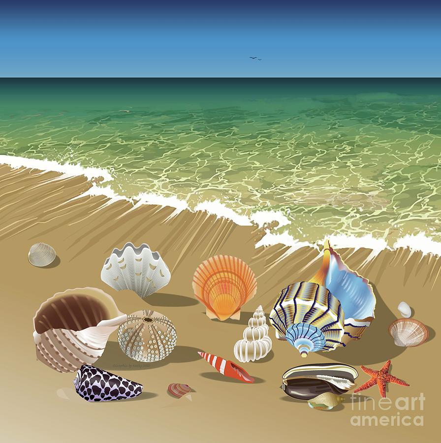 Shells on the Beach II Digital Art by Kathryn Yoder - Fine Art America