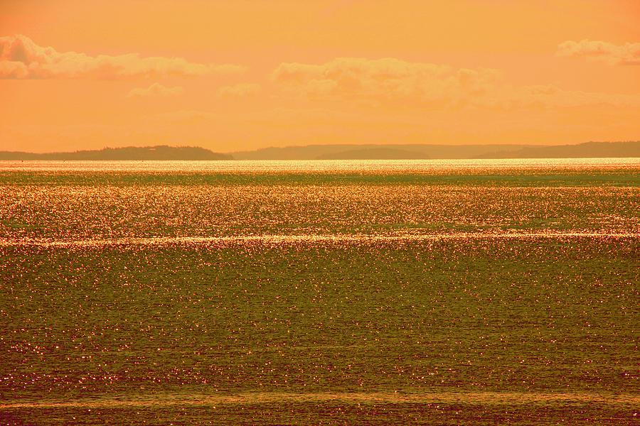 Shimmering Calm Sea in Corals Photograph by Julia Muench - Fine Art America