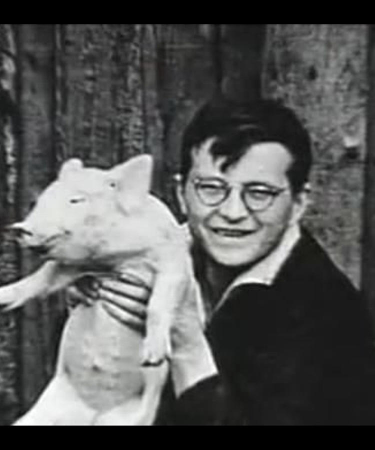 Shostakovich Funny Pig Lightweight Sweatshirt Digital Art by Selmer Stehr - Fine Art America